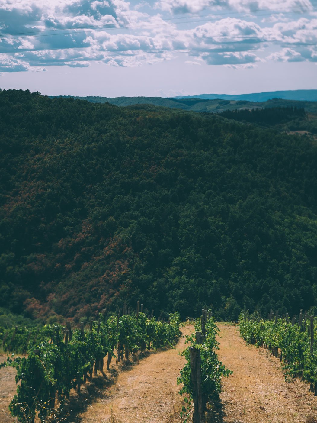 Road-trip sur les routes du Chianti / Blog de voyage en Italie